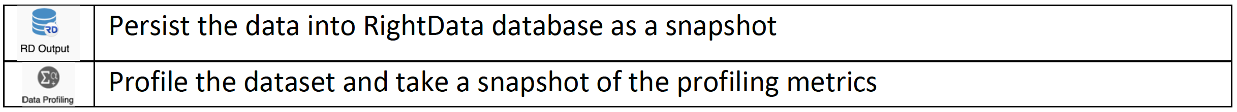 Data Preparation & Snapshot – RightData