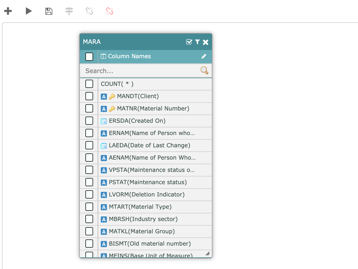 SAP ECC Query Single Table – RightData