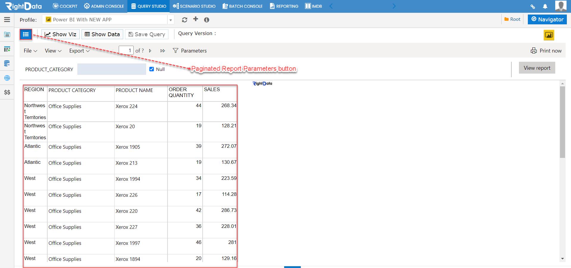 Paginated Filter Reports in Power BI – RightData