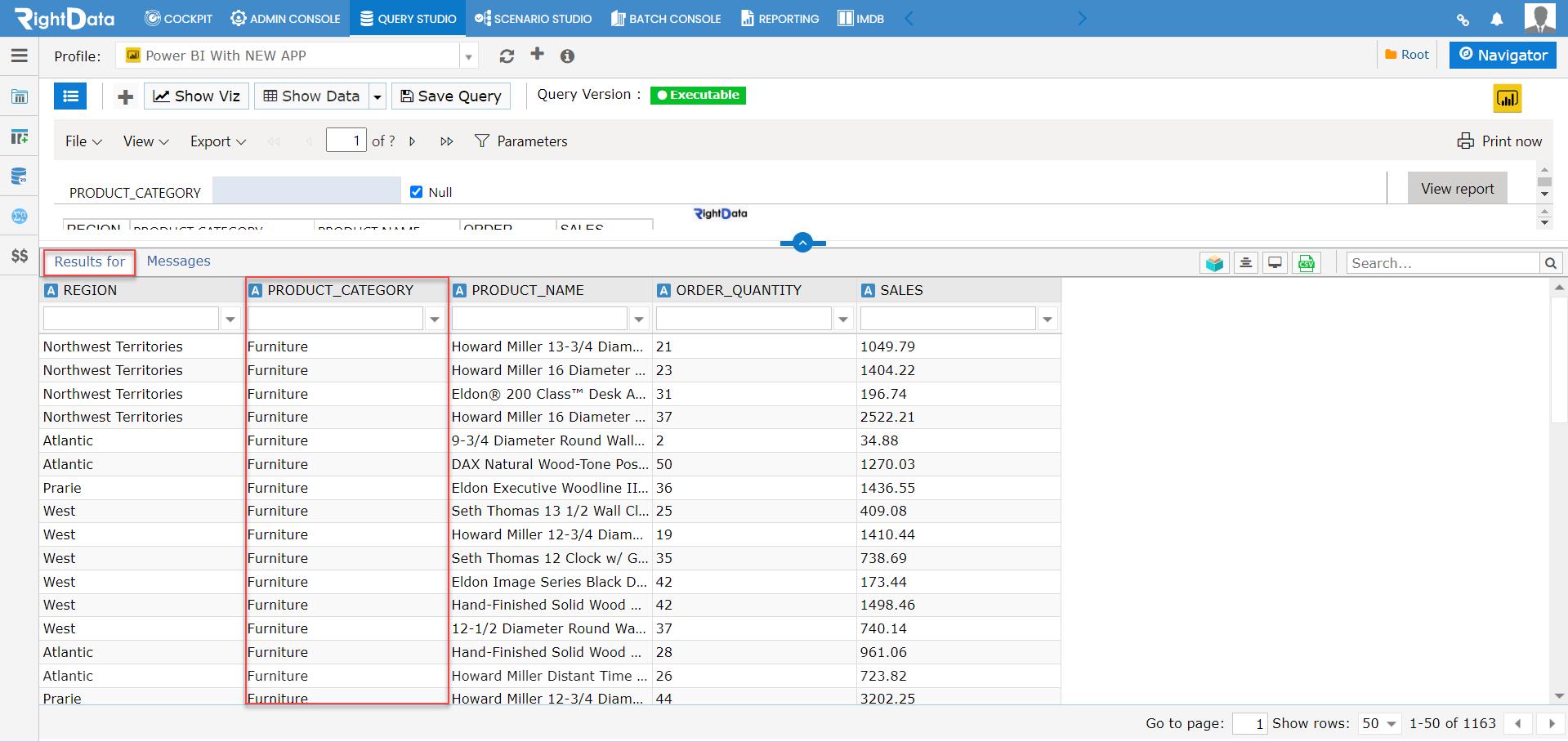 Paginated Filter Reports in Power BI – RightData
