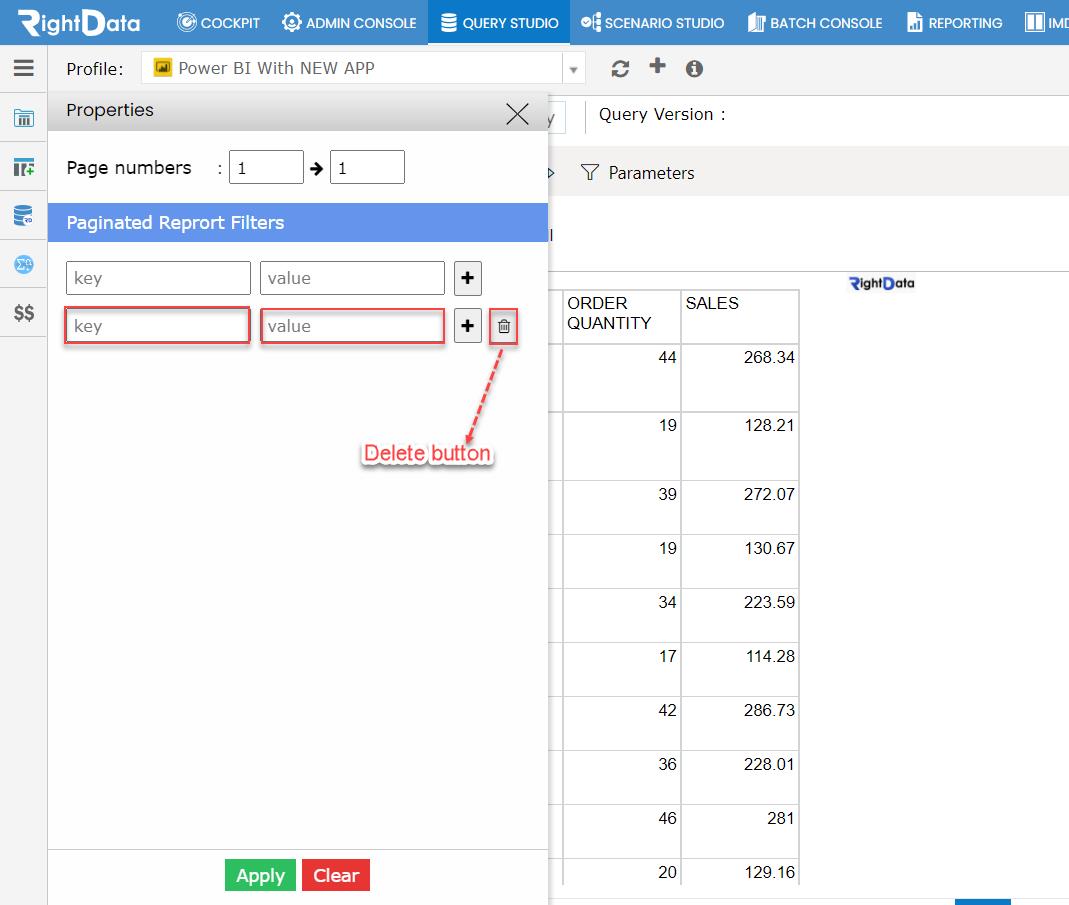 Paginated Filter Reports in Power BI – RightData